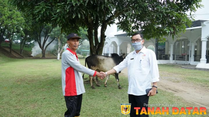 KORPRI TANAH DATAR SALURKAN 20 EKOR SAPI DAN 3 EKOR KAMBING QURBAN
