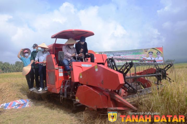 Tingkatkan Pendapatan Petani, Pemerintah Dorong Gerakan Panen dengan ...